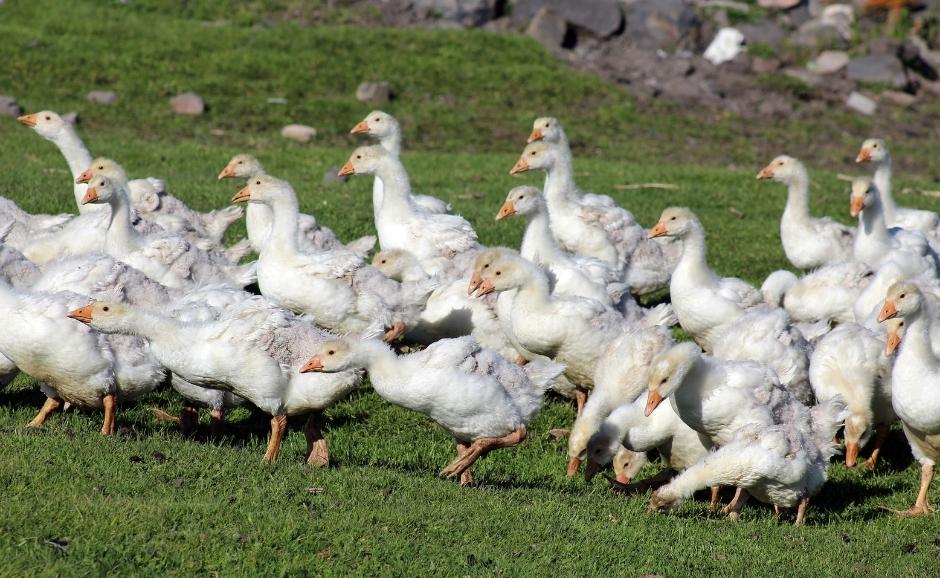 Historical places to visit in Ardahan, Turkey - Online Travel TURKEY